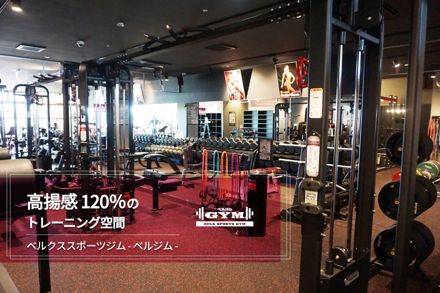 ベルクススポーツクラブ｜ジム｜公式サイト